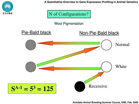 Ppt Microarray Powerpoint Presentation Free Download Id6143620