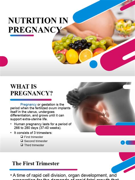 Nutrition In Pregnancy Pdf Pregnancy Fetus