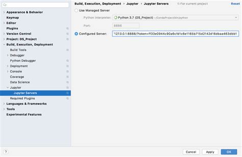 Manage Jupyter Notebook Servers Jetbrains Dataspell