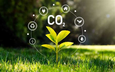 Carbon Offsetting Acc Aviation