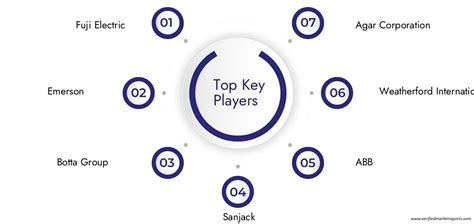 Spool Piece Multiphase Flow Meter Market Size Trends Analysis Share