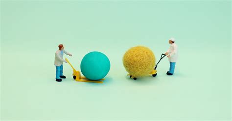 Hardware Vs Software Whats The Difference