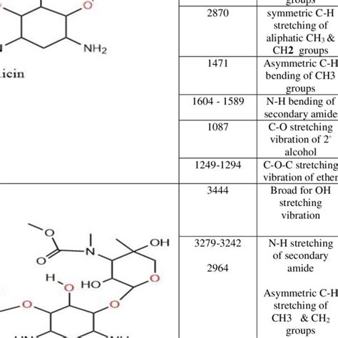 N Protected Gentamicin Download Scientific Diagram