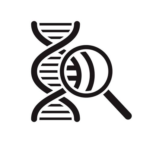 Genetics Clipart Black And White Dna Molecule Illustration Stock