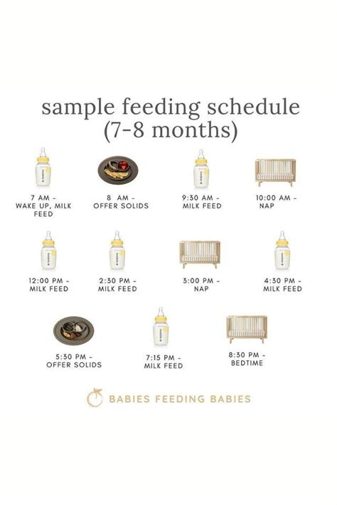 7 Month Old Schedule, Baby Food Schedule, Pumping Schedule, Baby ...