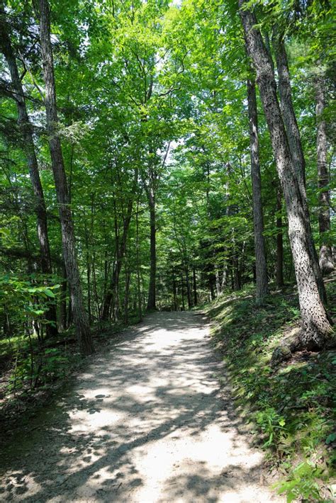 15 Best Things To Do In Tompkins County Ny