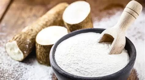 Marketus Cassava Starch Market Size Share And Outlook 2024 Morning