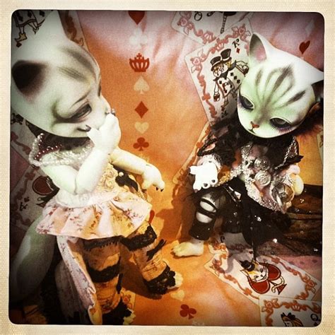 Flickriver Photos From Lilly Kitten