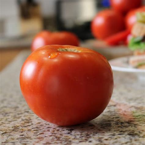 Tomato Celebrity Plus Milaegers