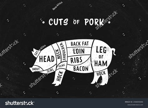 Butchers Guide Cuts Pork Scheme Illustration Stock Illustration