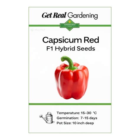 Capsicum Red Hybrid Seeds Sweet Bell Peppers For Garden Moji Mall