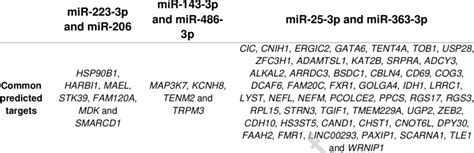 Mirna Gene Target Predictions Download Scientific Diagram