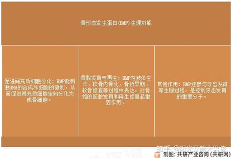 随着全球骨科疾病发生率不断上升 骨形态发生蛋白市场规模将达116亿美元 图 知乎