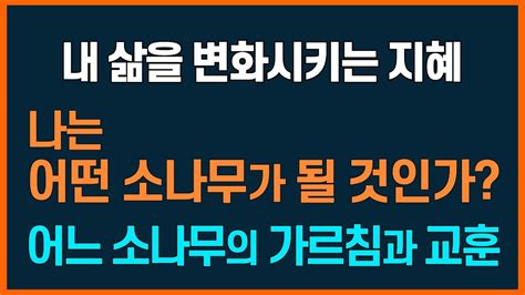 나는 어떤 소나무가 될 것인가 어느 소나무의 가르침 Youtube