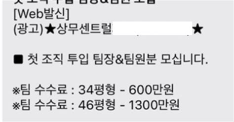 코미디가 따로 없네 벌금현수막을 아시나요 현장 써머리