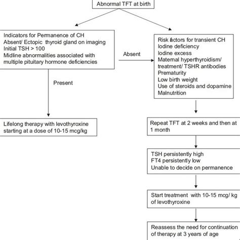 Flow Chart For Follow Up Of Abnormal Thyroid Function Test At Birth