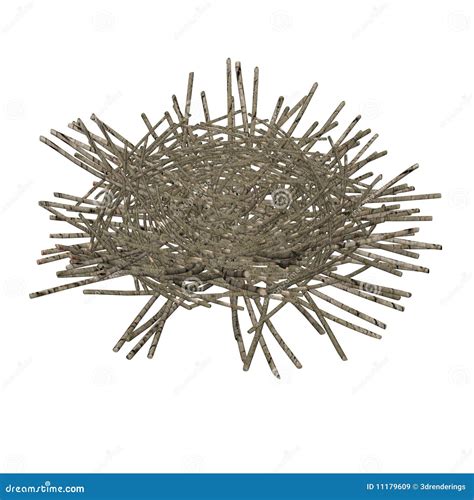 Magpie Nest Stock Illustration Illustration Of Prowler 11179609