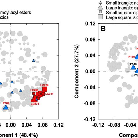 Sunburn A And Sunscald B Categories Based On Severity On Sun Facing Download Scientific