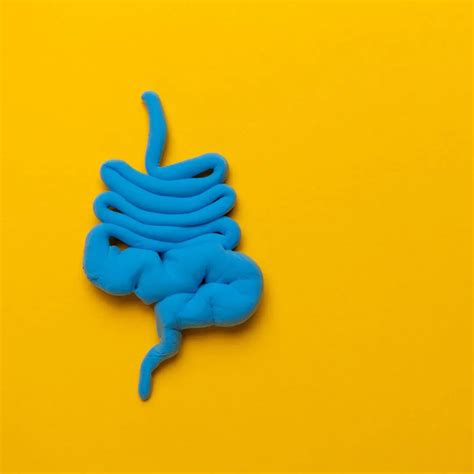 Dilated Bowel Loops Causes And Care