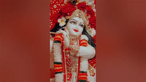 ত্রিভুবনে হাসি দেখি তোমার দয়ায় 🙏 ️🙏 ️🙏 ️ জয় শ্রী কৃষ্ণ 🙏 ️🙏shots