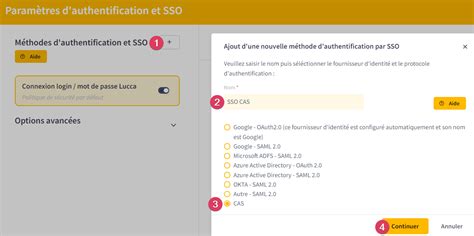Sso Protocole Cas Support Lucca