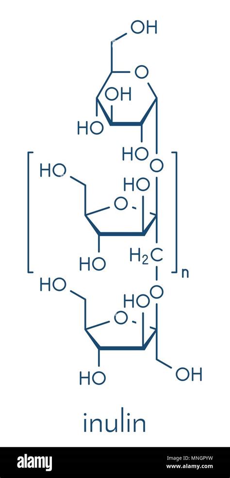 Inulin Chemical Structure Sweet Indigestible Carbohydrate Present