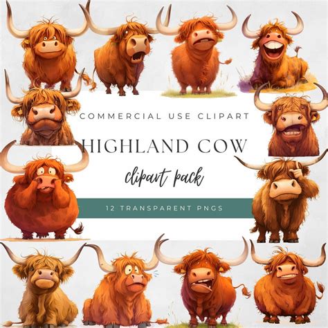 Funny Highland Cow Clipart Quirky Cows Clipart Pack 12 Pngs 12x12