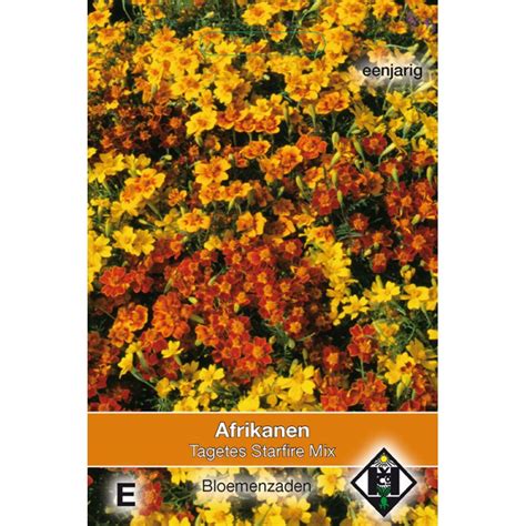 Lemon Drop Afrikaantje Tagetes Zaden Zaden Kopen Tuinzadeneu