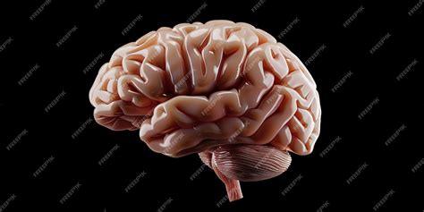 Premium Photo A 3d Depiction Of The Human Mind Against A Dark Backdrop