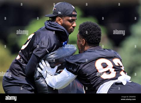 Cincinnati Bengals Tarell Basham Left And Jeff Gunter Take Part A