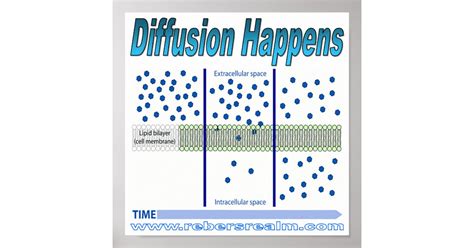 Diffusion Happens Poster