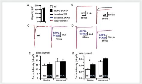 Effect Of Isoproterenol On Sodium Current In Isolated Ventricular