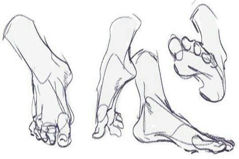 Anatomy 하체에 있는 🙃 💥님의 핀 드로잉 강좌 해부학 예술 드로잉