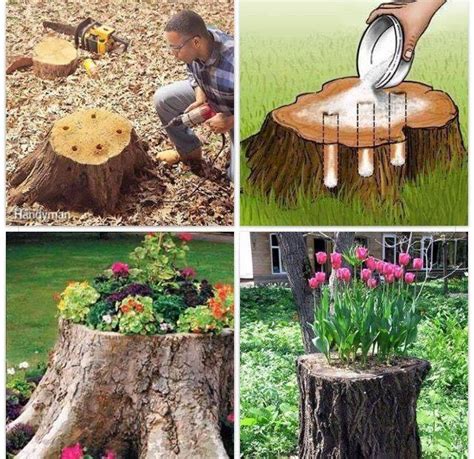 DIY Tree Stump Garden Ideas Container You Should Check SharonSable