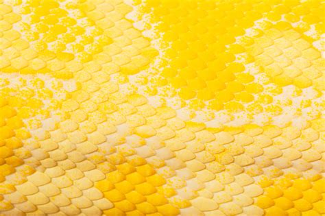 Tekstur Skala Ular Kuning Tekstur Skala Python Emas Close Up View