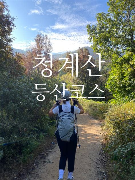 초보 등산코스 추천 난이도 무난한 서울 근교 청계산 등산코스 가을산행 후기 네이버 블로그