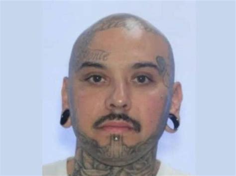 Tiroteo En Colorado Agente Captura A Sospechoso