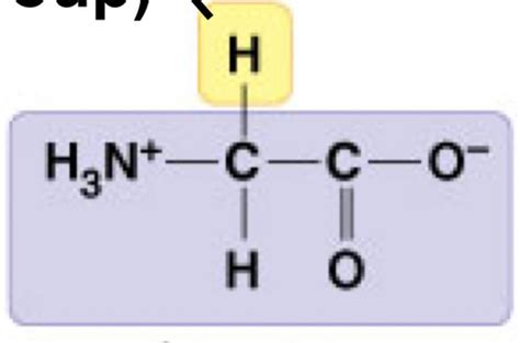 Amino Acid R Groups Flashcards Quizlet