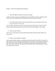 Chapter 2 Unilever Annual Report And Video Assignment Docx Chapter 2
