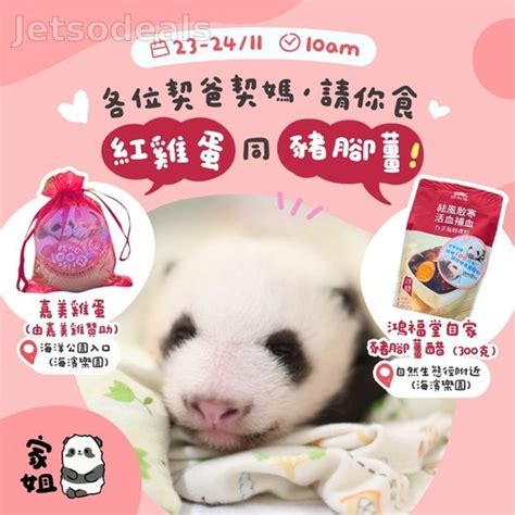 【海洋公園香港海洋公園 Ocean Park Hong Kong海洋公園】海洋公園大派紅雞蛋及豬腳薑醋慶祝大熊貓bb百日宴 11月23 24