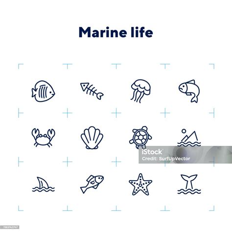 海洋生物圖示向量圖形及更多人類骨架圖片 人類骨架 俄羅斯 剪裁圖 Istock