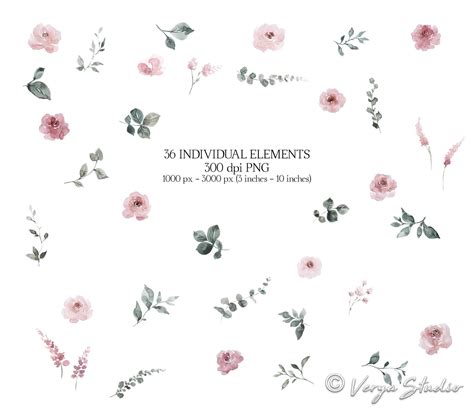 Dusty Rose Watercolor Flowers Clipart Dusty Pink Blush Light Etsy