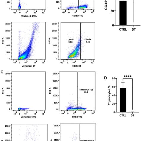 Analysis Of Leukocyte And Thymocyte Populations After A 21 Day Thymus Download Scientific