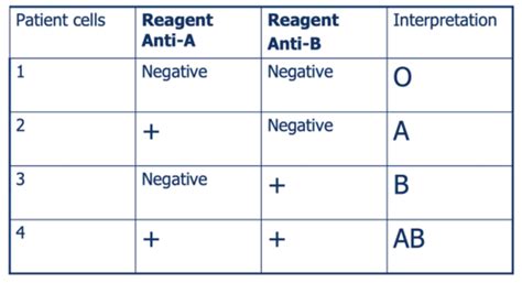 Abo H And I Slides Flashcards Quizlet