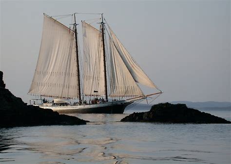 Schooner Grace Bailey By Lifeinmaine Redbubble