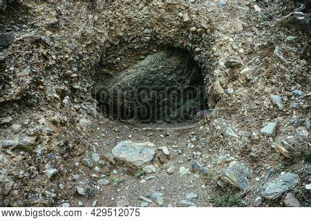 美穴特写 图片、插图和矢量图（免费） Bigstock