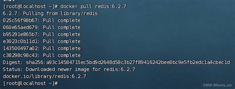 安装dockerand镜像容器操作and使用docker安装部署mysql，redis，rabbitmq，nacos，seata，minio 阿里云开发者社区