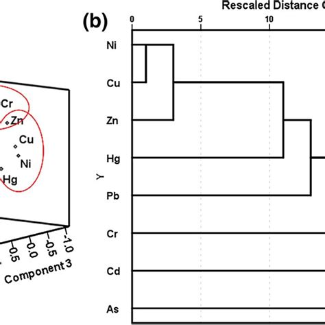 a 3 d plot of principal component analysis and b dendrogram of