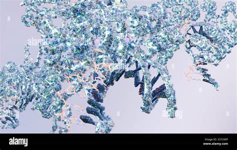 Molecular Structure Of Human Antigen Protein P53 Complexed With Dna