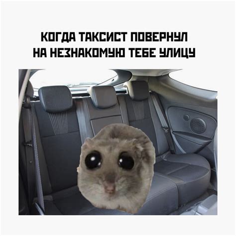 Грустный хомяк с большими глазами что за мем и откуда он взялся